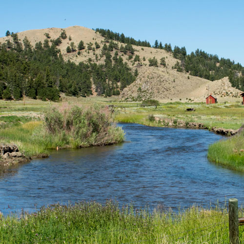 Sustainable Natural Beef | Cedar River Farms